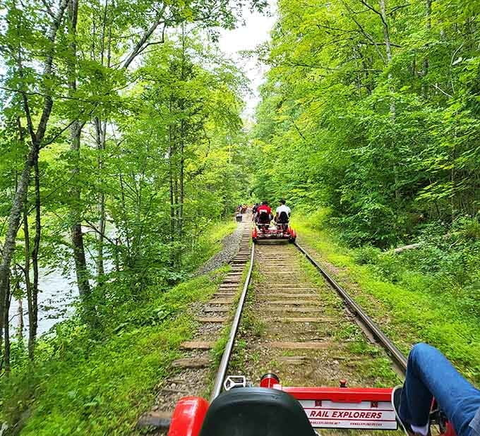 Pedaling through a tunnel of emerald green feels like entering Narnia, except you're getting a workout and nobody's chasing you.