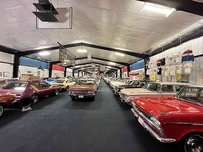 Row after gleaming row of automotive history, each car whispering stories from America's golden age of motoring.