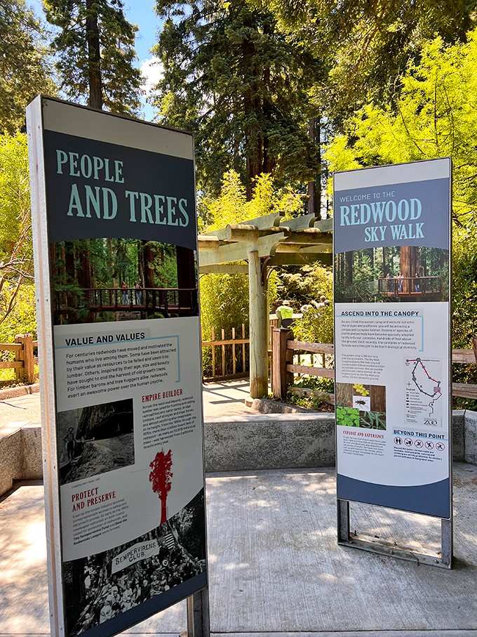 Educational signage that actually makes you want to read instead of just nodding and walking past.