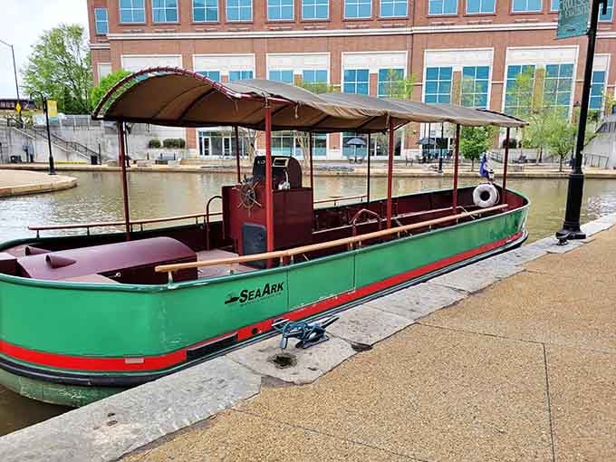 The SeaArk awaits at the dock, ready to transform your ordinary afternoon into a floating history lesson you'll actually enjoy.