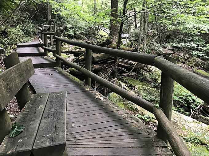 Perfect spots to pause and contemplate life, or just catch your breath while pretending to admire the view.