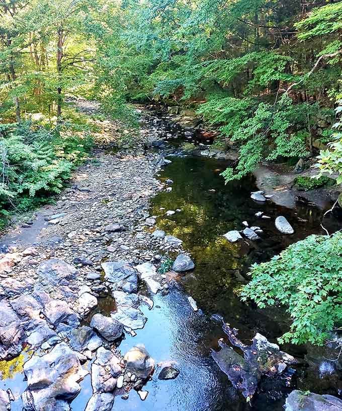 This peaceful forest stream practically begs you to sit on a rock and contemplate absolutely nothing for hours.