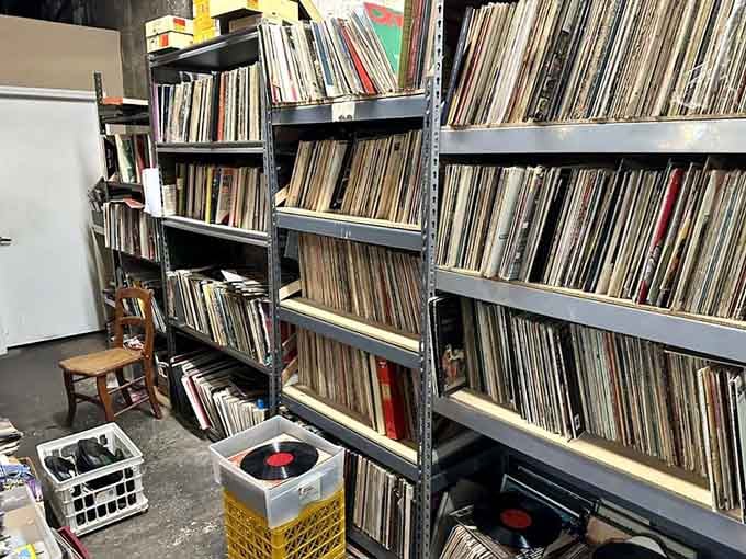 Rows of vinyl records stand ready for crate-digging enthusiasts seeking their next musical obsession or nostalgic rediscovery.