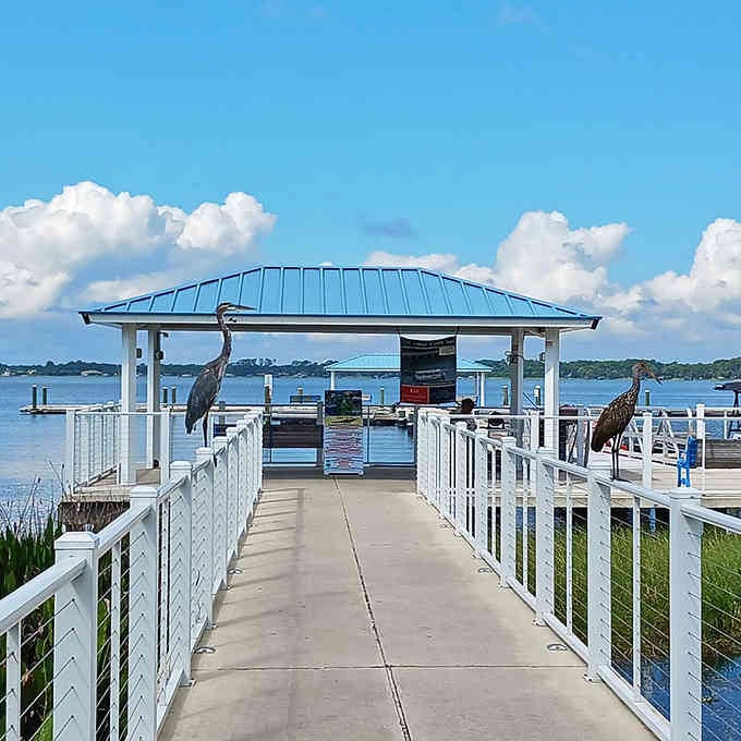 This walkway leads to floating adventures, where the only exercise required is pointing at wildlife.