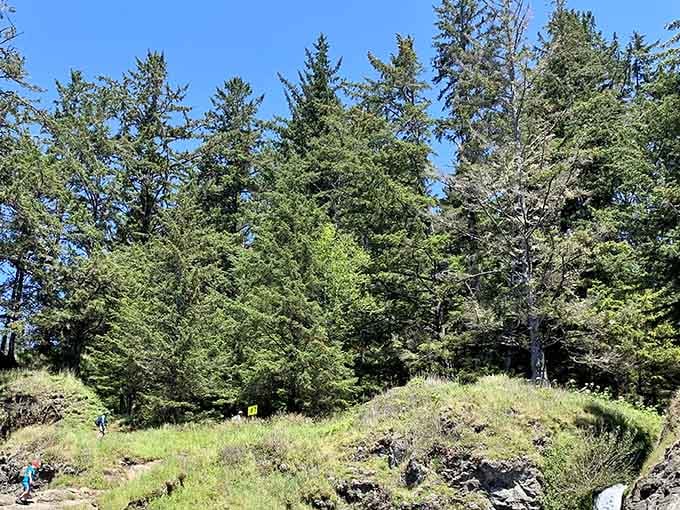 The forested trail down might look intimidating, but every step brings you closer to coastal heaven.