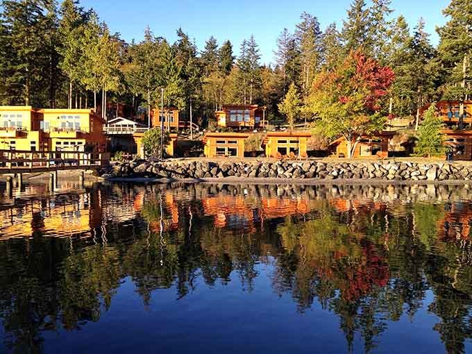 Those warm wood tones reflecting in the water prove that nature's mirror never lies about beauty.