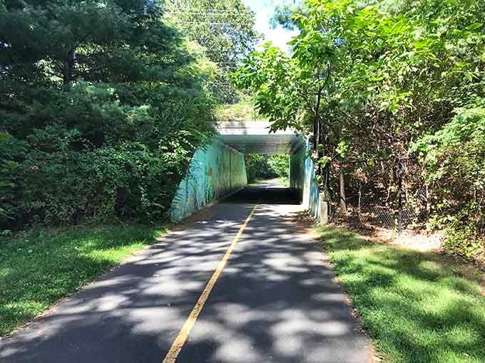 Every good journey needs a little mystery, and this tunnel delivers shade, intrigue, and excellent echo acoustics.