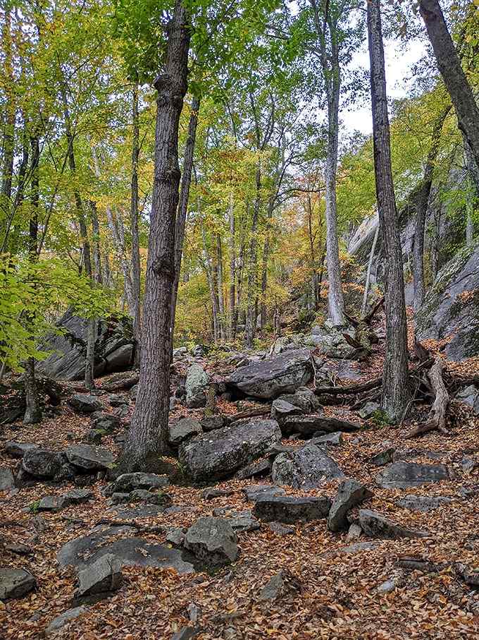 Rocky terrain that'll make you grateful you wore actual hiking boots instead of those sneakers.
