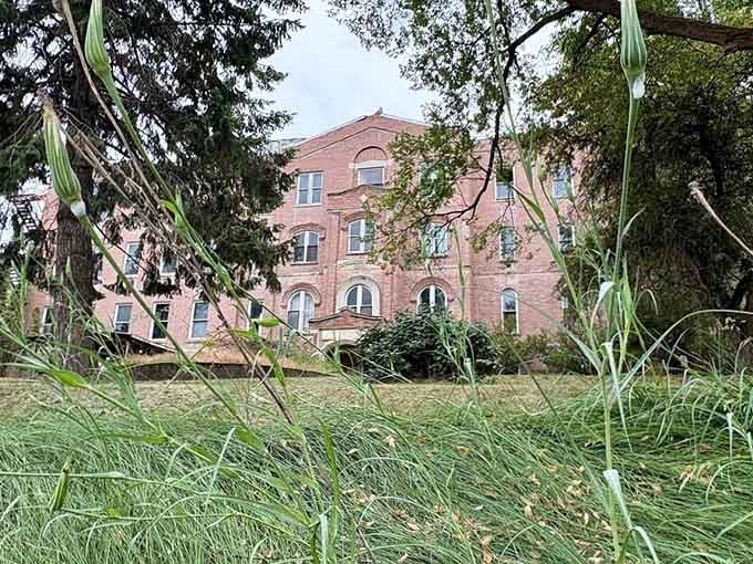 Nature's slowly reclaiming this hillside sentinel, framed by overgrown grass like something from a Stephen King novel.