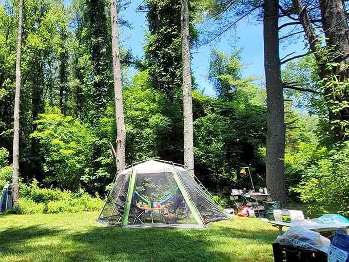 Your camping neighbors are far enough away that you won't hear their snoring, close enough to borrow marshmallows if needed.