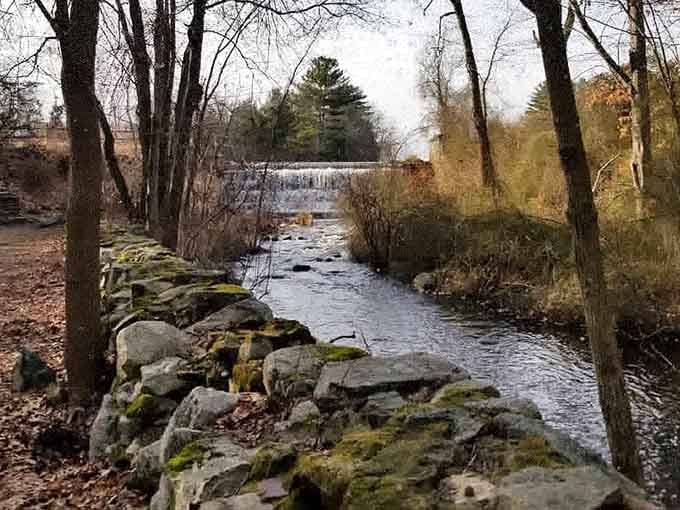 Where moss-covered rocks meet flowing water, nature writes its own peaceful story worth pausing to read.