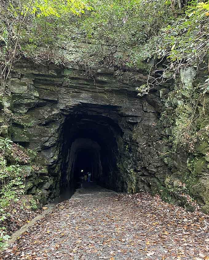 Nature's archway meets human determination in this entrance that looks like the gateway to another world entirely.