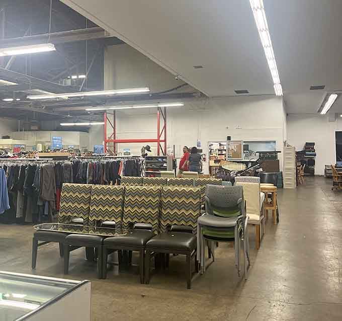 That chevron couch has more personality than most people's entire living rooms, and it's waiting for adoption.