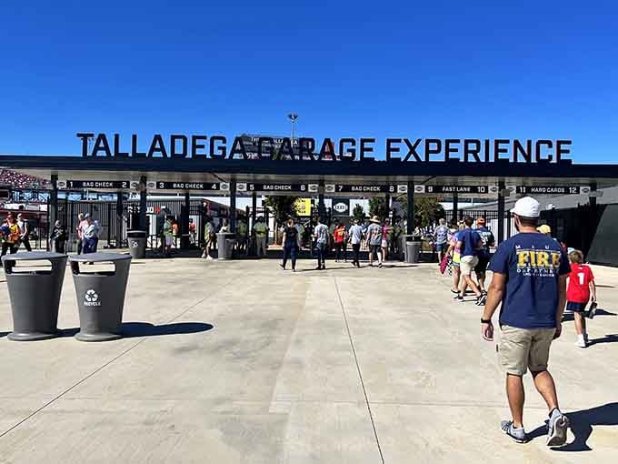 Welcome to where dreams of speed become reality, one carefully controlled lap at a time for us mortals.