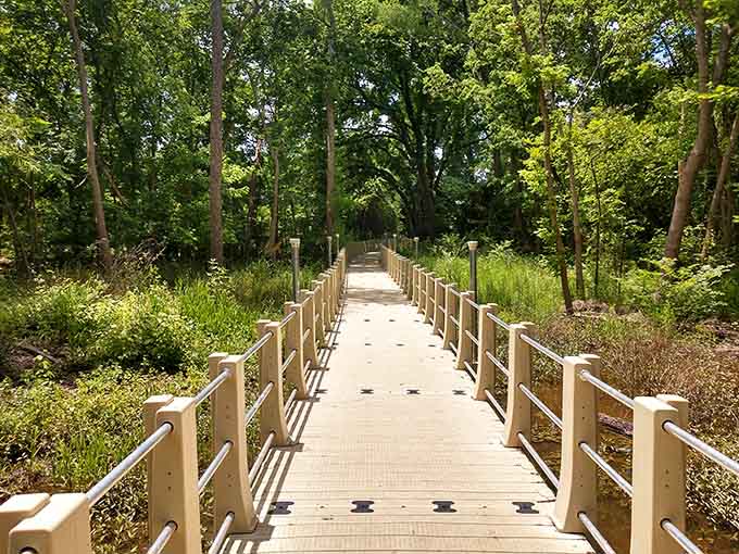 Tree-lined pathways lead you toward aquatic adventures that'll make your fitness tracker jealous.