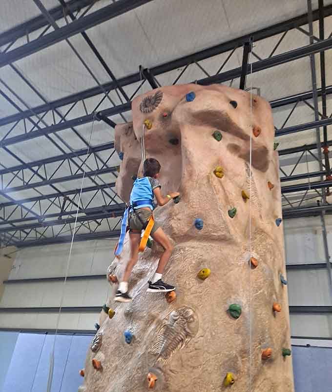 Nothing says "I've still got it" quite like conquering a rock wall while your kid cheers you on.