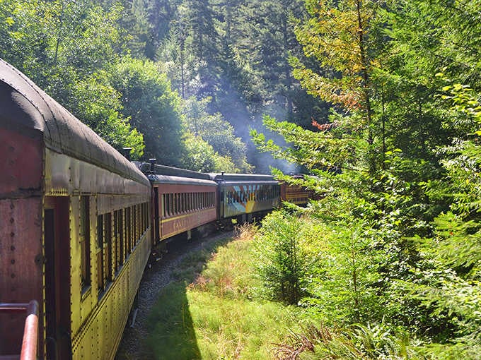 Hop aboard the historic Skunk Train for a scenic journey through California's majestic redwood forests and lush, sun-drenched coastal mountains.