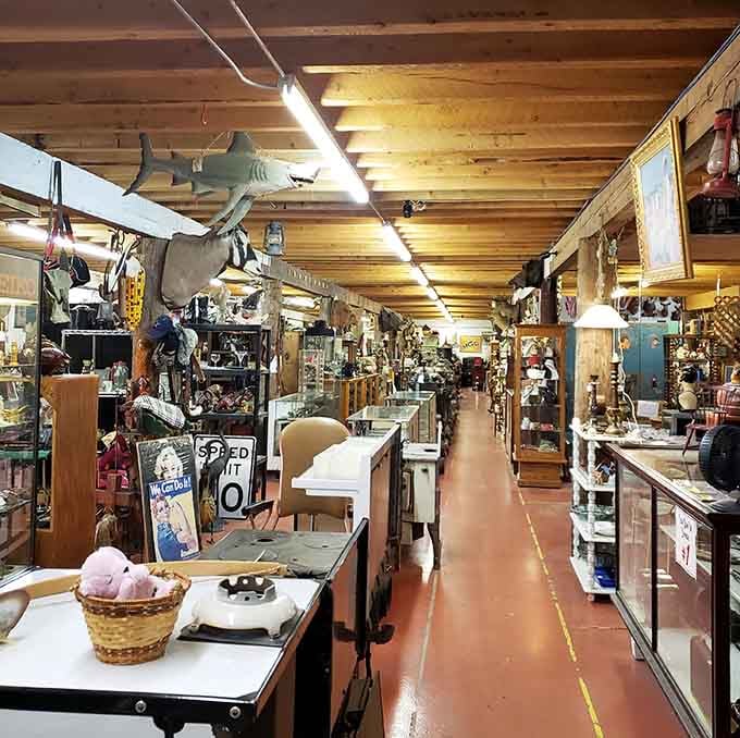 Aisles stretching into infinity, each one promising discoveries that'll make your heart skip a beat.