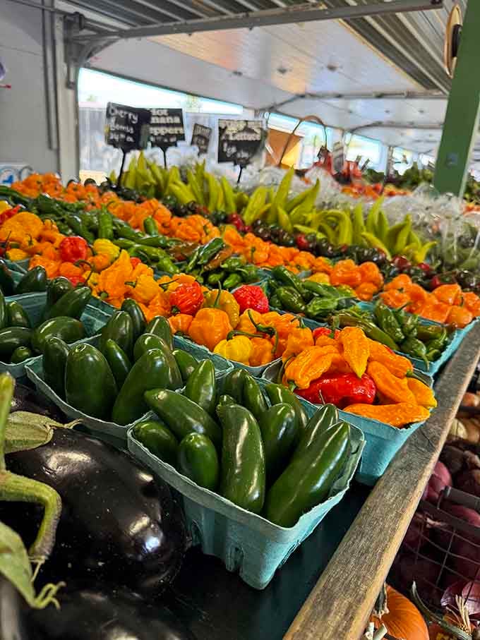When peppers come in more colors than your favorite box of crayons, you know you've hit the jackpot.