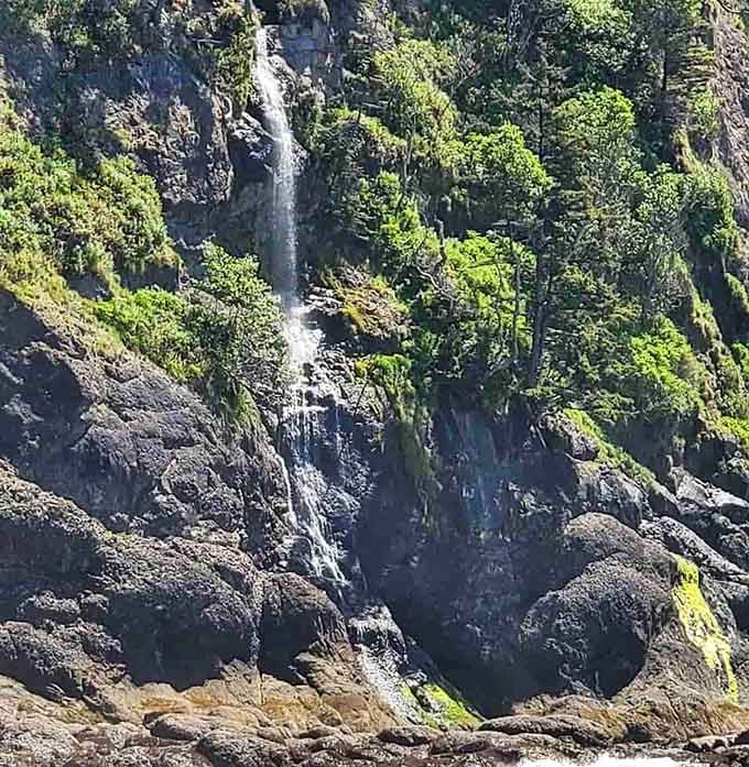 A waterfall tumbling straight onto the beach? Nature's basically just flexing at this point, honestly.