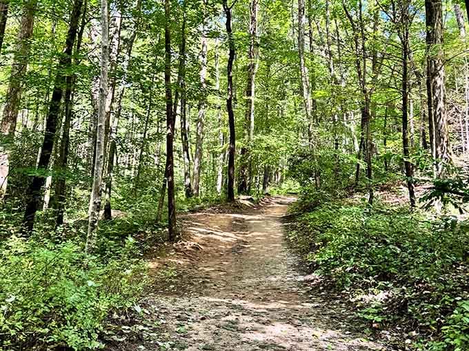 Your path to waterfall paradise looks like something straight out of a storybook adventure.