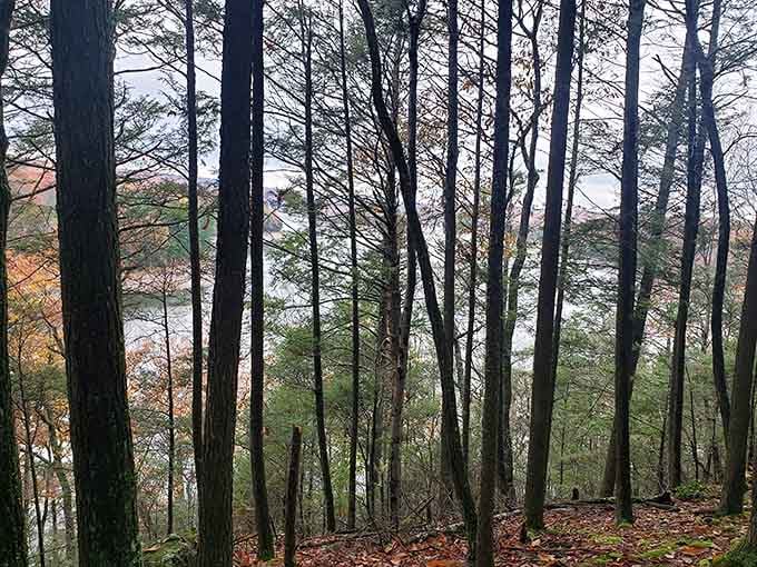 When trees frame a view this perfectly, you start to understand why landscape painters never run out of inspiration.