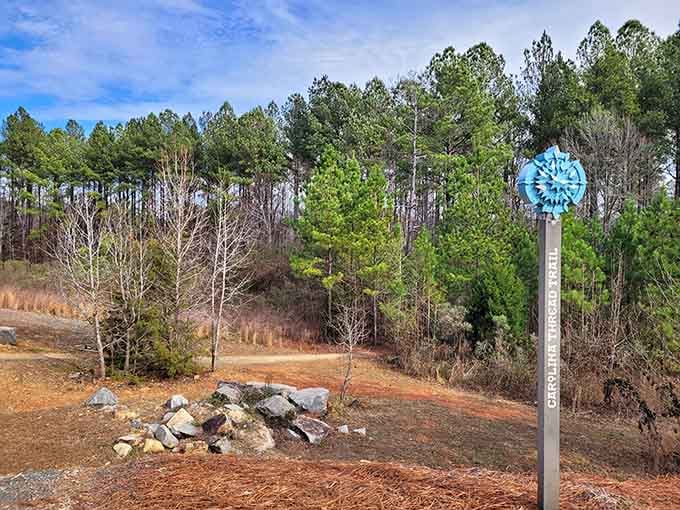 The cheerful trailhead marker promises adventures ahead, like a friendly handshake from the forest itself.