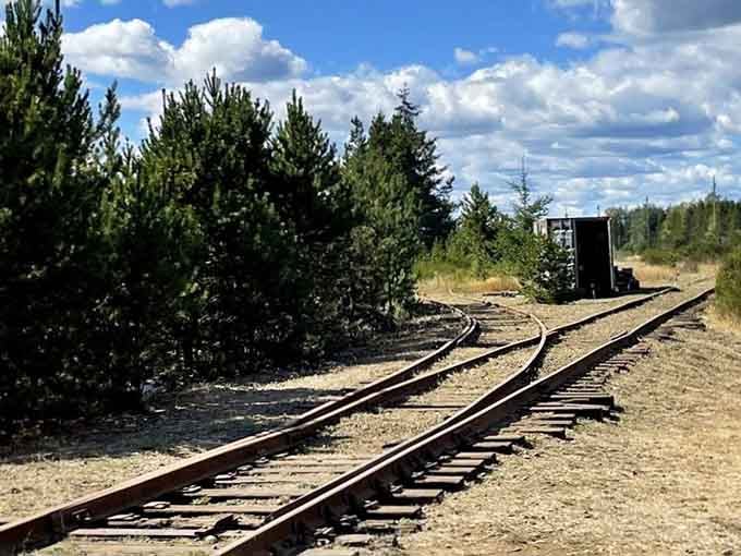The historic rails stretch into the distance, waiting to carry you on an adventure unlike anything else.
