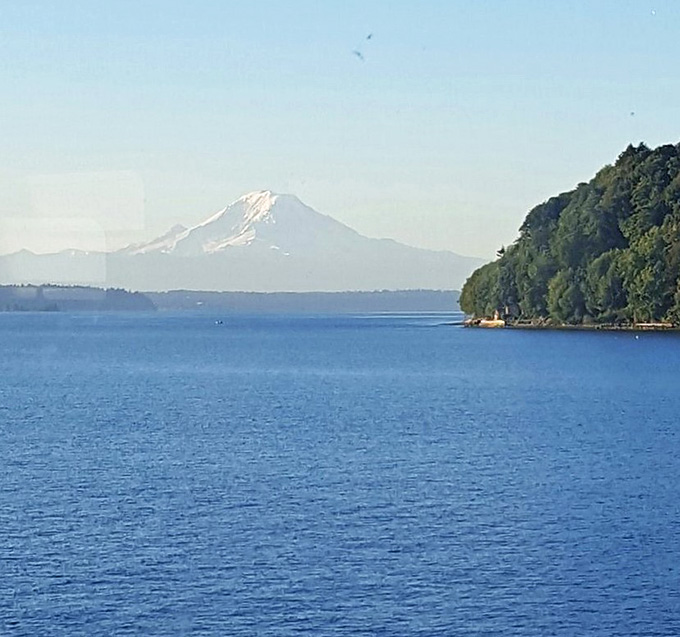 That's Rainier again, proving some views never get old no matter how many times you see them.