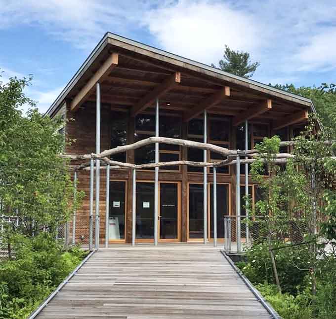 This modern visitor center proves that environmental consciousness and architectural beauty can absolutely coexist harmoniously.