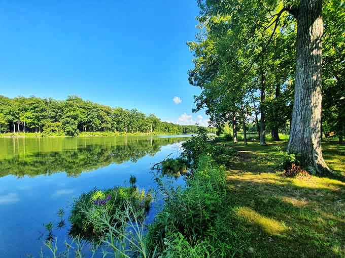 When nature decides to show off with emerald water and sapphire skies, you just stand there grinning.