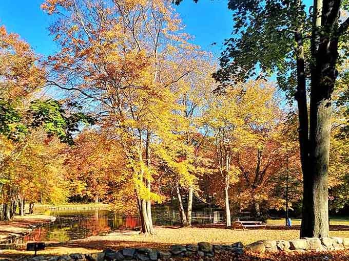 Fall in Waterford transforms ordinary parks into nature's own masterpiece, no filter needed for this beauty.