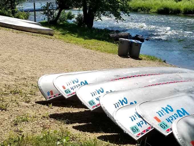 Tubes lined up like soldiers, each one promising a day of effortless floating bliss.