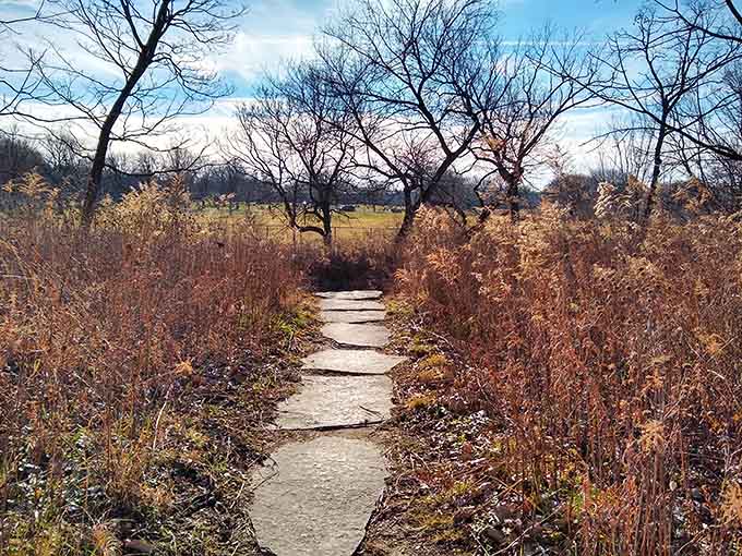 This path through golden prairie grasses leads somewhere worth going, trust me on that one.