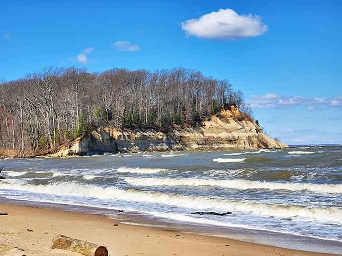 Winter waves at Westmoreland reveal what summer keeps hidden beneath the sand and surf.