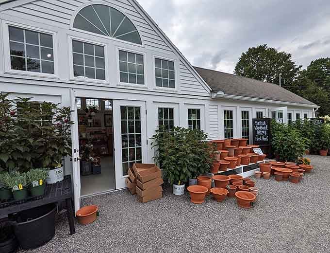 The retail store where your credit card goes to die, but your garden comes to life.