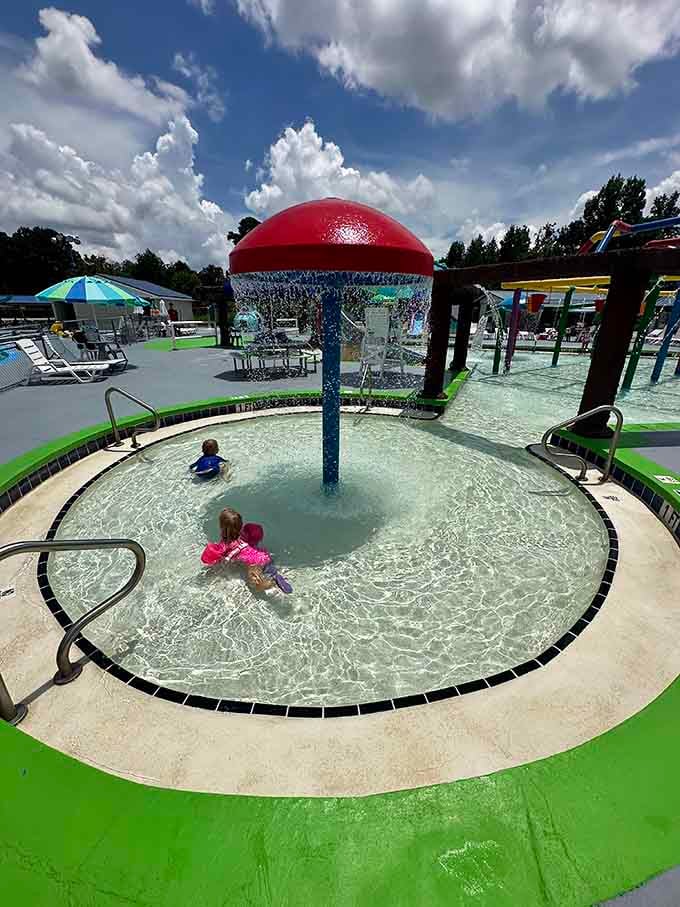 That mushroom fountain knows exactly what kids need: surprise water attacks from above when they least expect it.