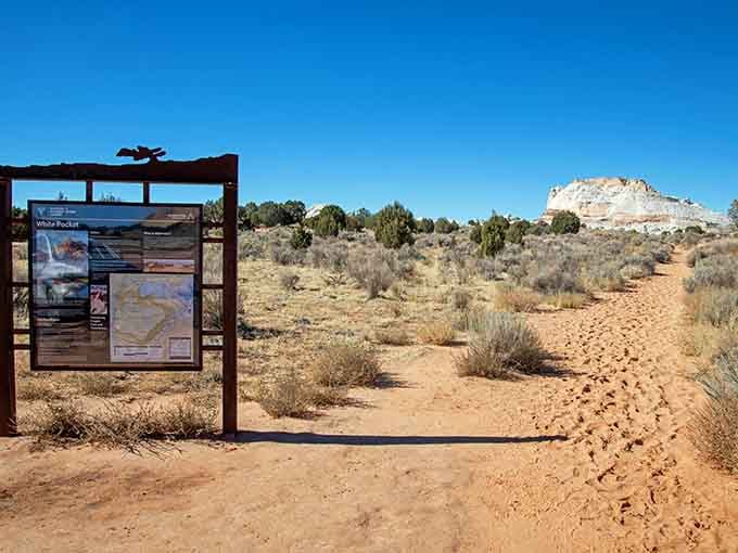 That trailhead sign is basically saying "abandon all GPS hope, ye who enter here" in the nicest possible way.