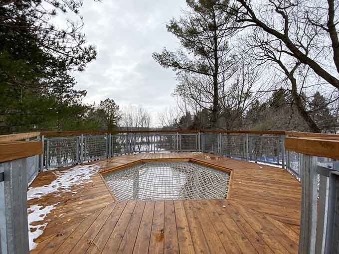 This observation deck proves Minnesota knows how to frame nature better than any art gallery ever could.