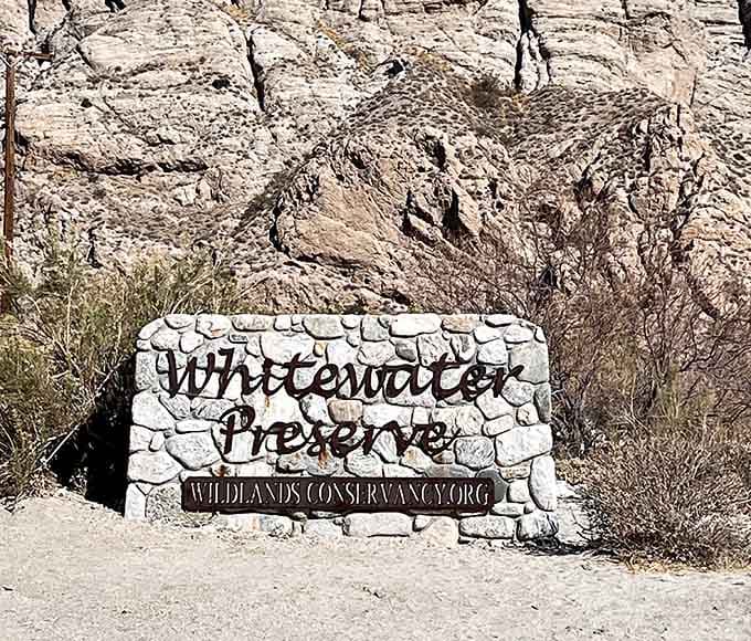 Your gateway to discovering that mirages can actually be real when you're in the right place.
