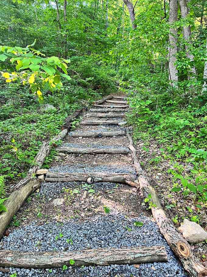 Nature's stairway leads you down to riverside adventures that'll make your Instagram followers jealous.