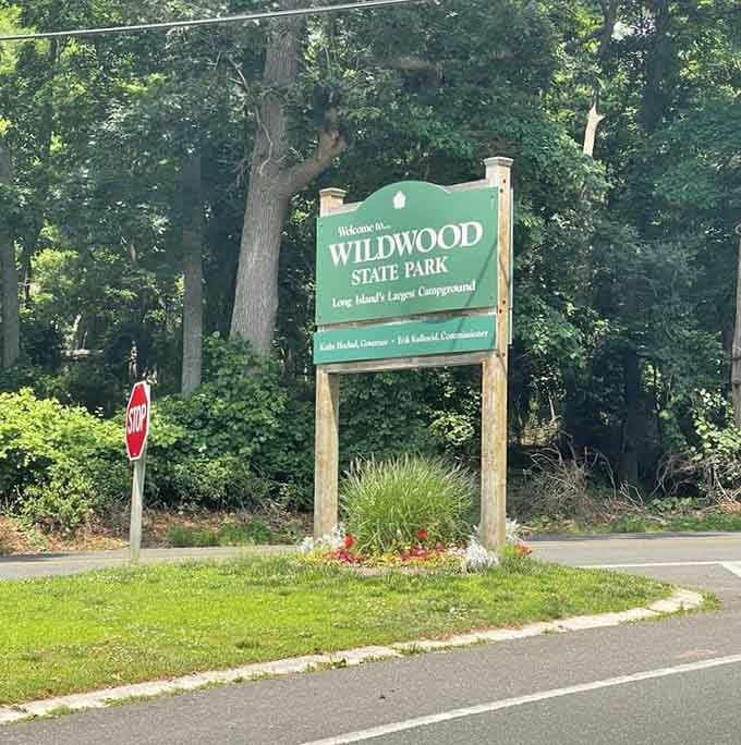 That green sign marks the gateway to 767 acres where Long Island remembers what "peaceful" actually means.