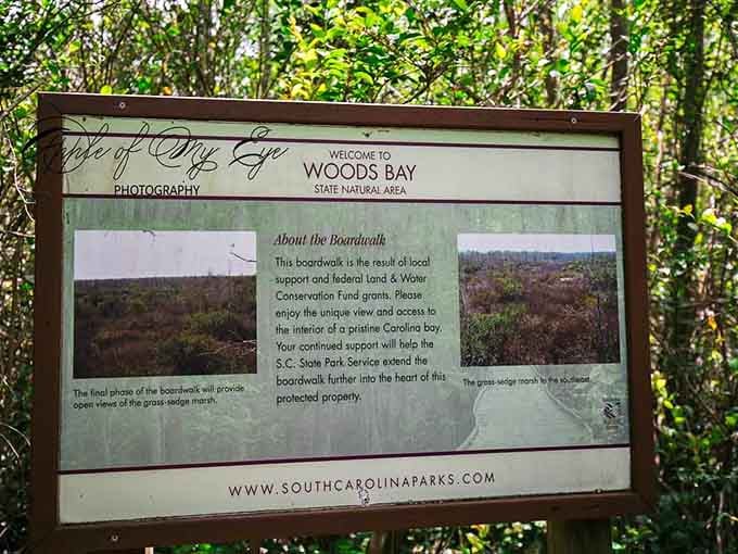 The welcome sign promises access to a pristine Carolina bay, and boy does it deliver on that promise.