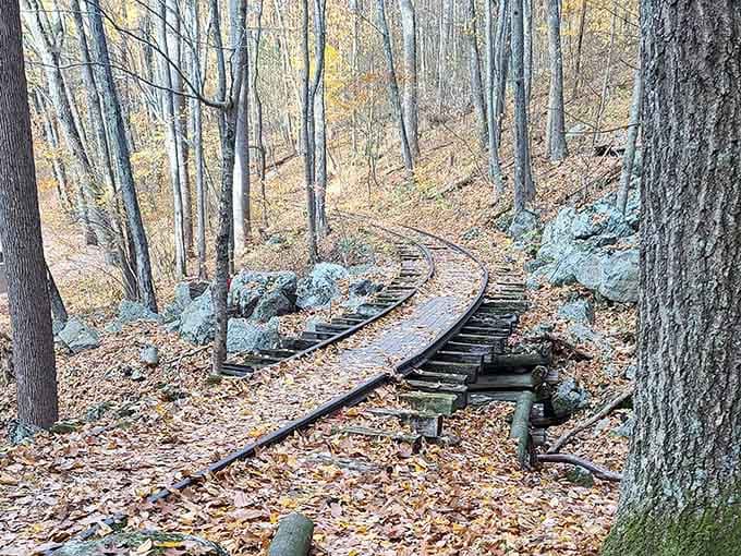 These weathered rails once carried fortunes in timber; now they carry hikers seeking something more valuable.