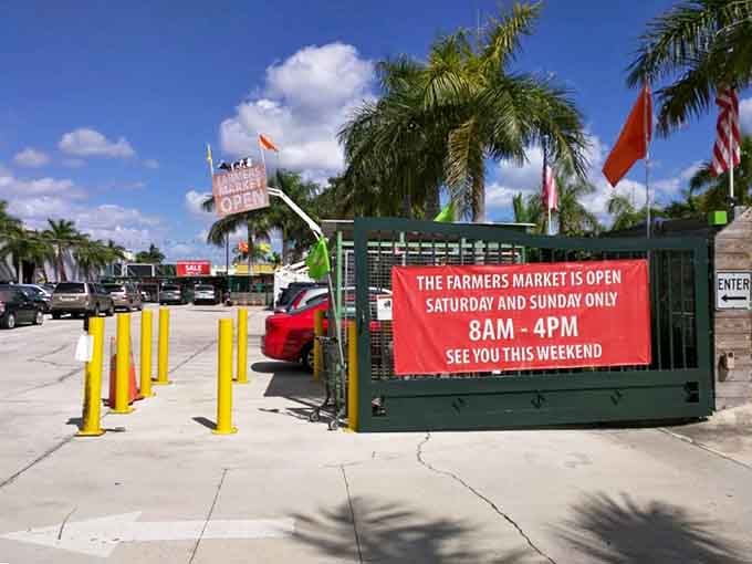 Those palm trees and flags aren't just decoration, they're your first hint that this isn't Kansas anymore.