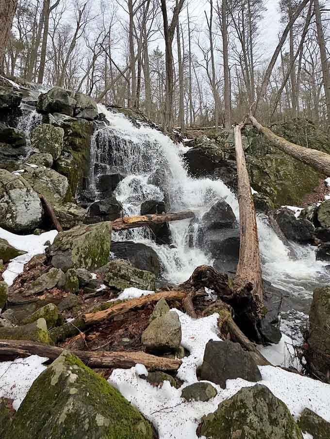 Mother Nature's staircase in full spring glory, where snowmelt transforms modest cascades into a photographer's dream come true.