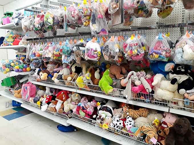 Plush companions of every species await adoption at prices that won't require a second mortgage payment.