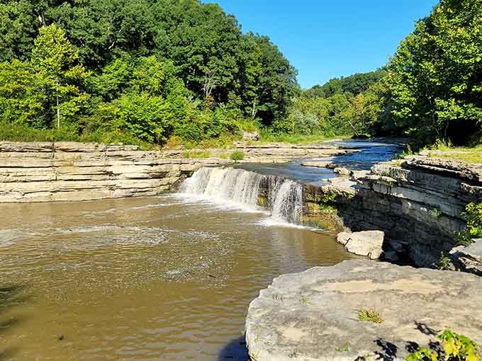 Water cascades over layered limestone ledges, creating Indiana's largest waterfall in a peaceful natural setting worth discovering.