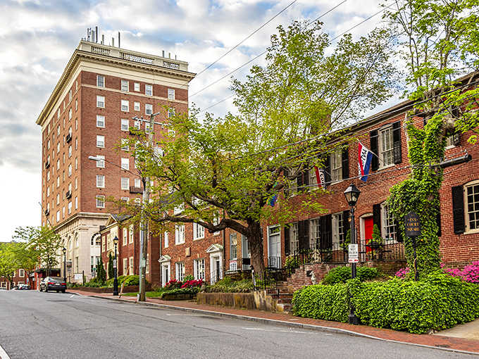 Brick buildings and leafy trees create a neighborhood where history meets modern comfort beautifully and effortlessly.