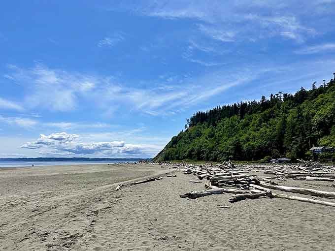 Miles of empty beach stretch ahead, backed by forest-covered bluffs that look like they're straight from a postcard.